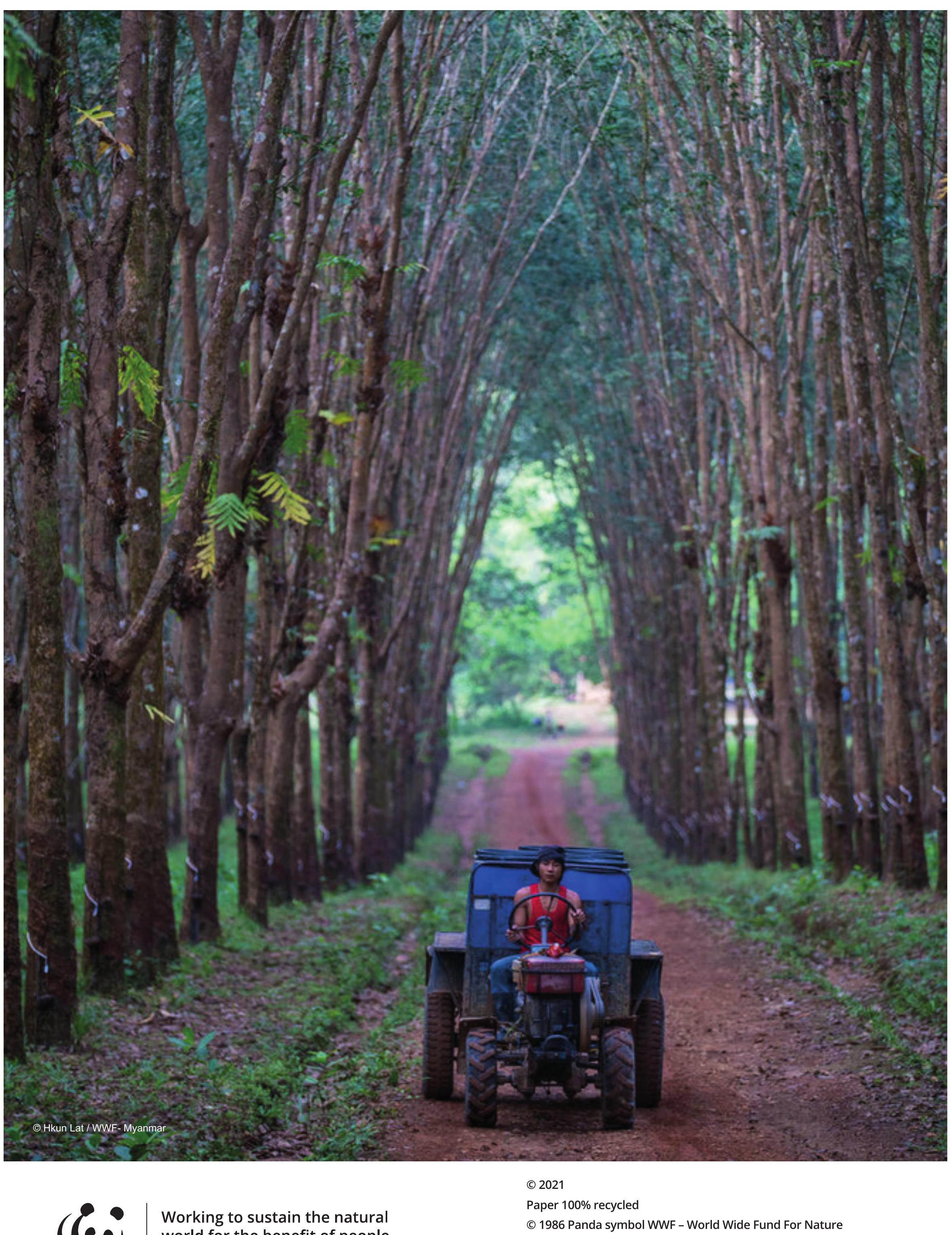 Figure 40 - Mapping the Natural Rubber Value Chain in