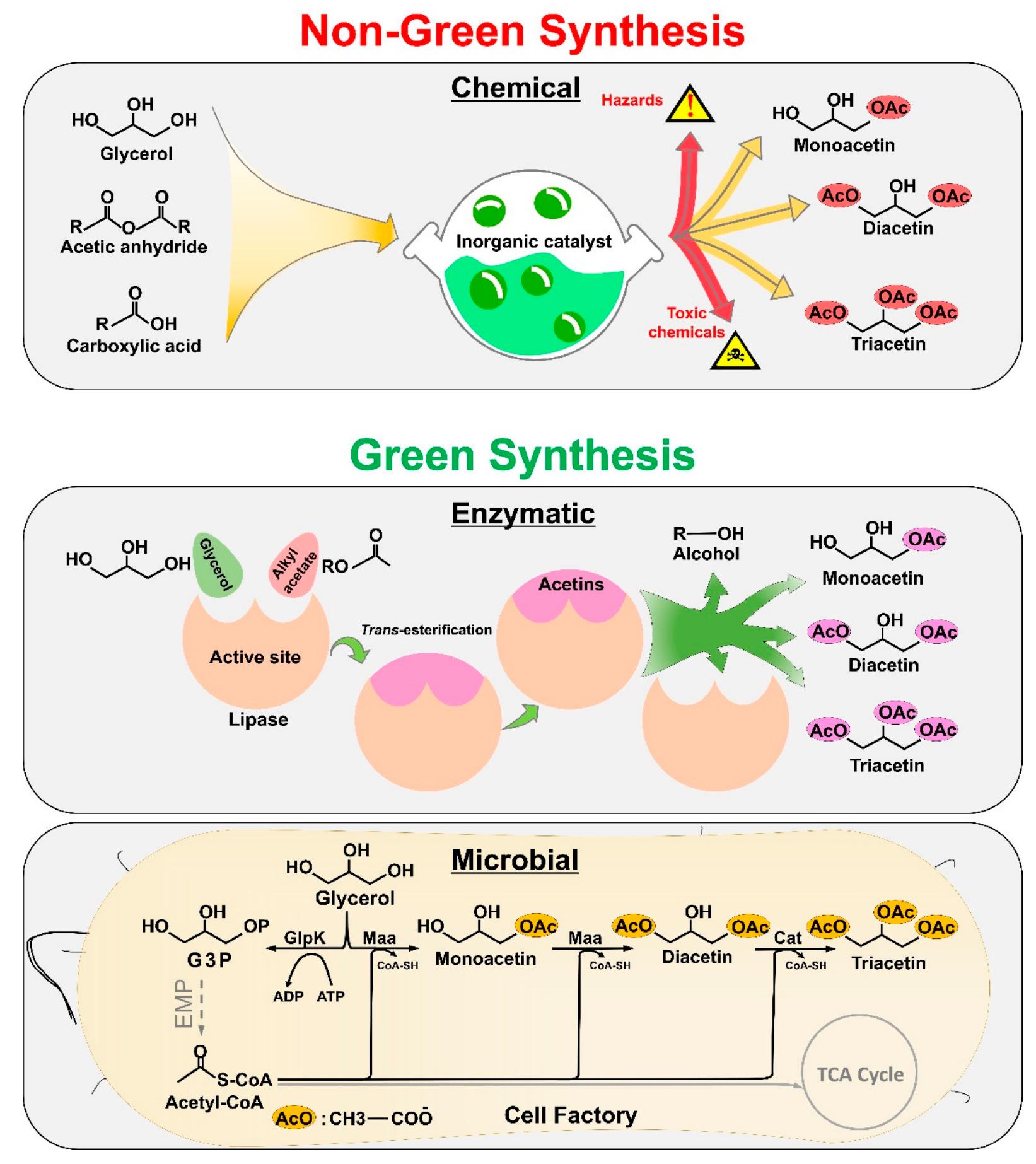 Acetins synthesis by “green” and “non-green” methods. the