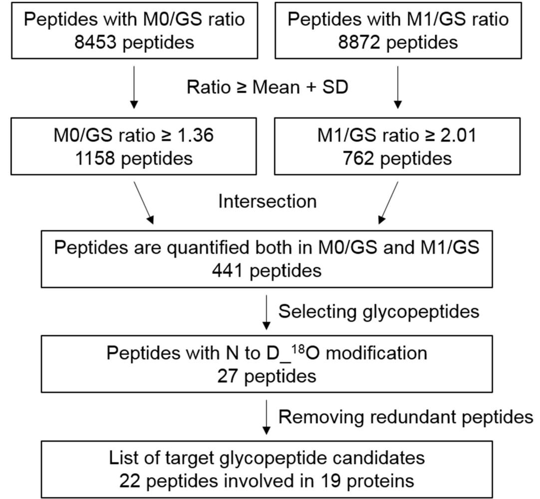 Flowchart for selecting candidate glycopeptides from