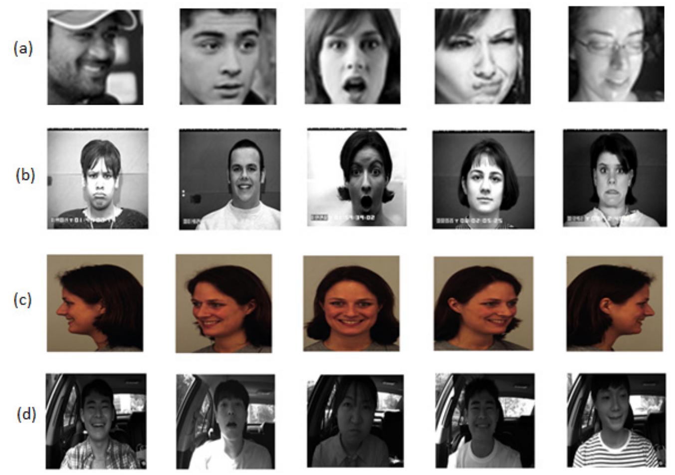 (a) fer 2013 dataset. (b) ck+ dataset. (c) kdef dataset. (d)