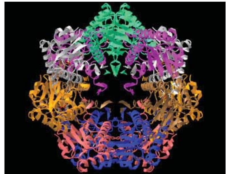 3d structure of clpp from bacillus subtilis 3d structure of