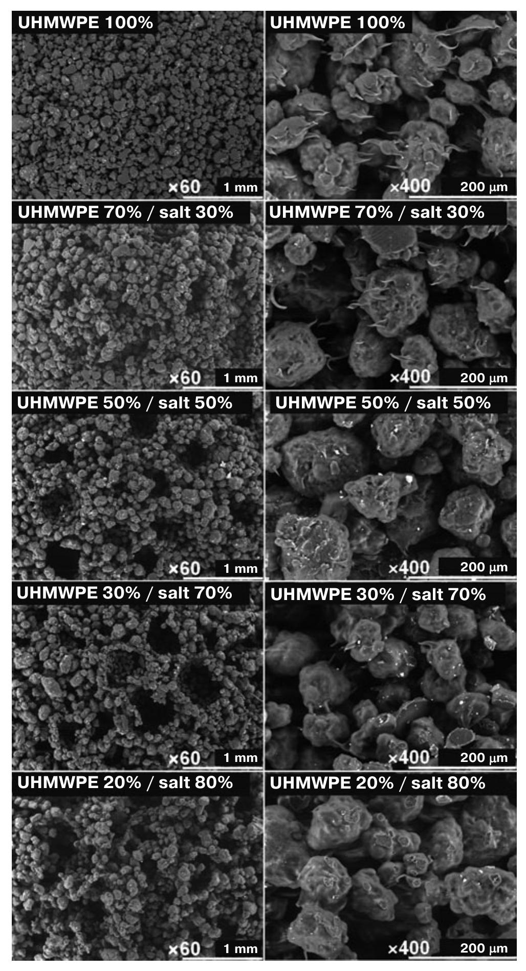 Porous structure of u\hmwpe sample obtained using bak- ing.