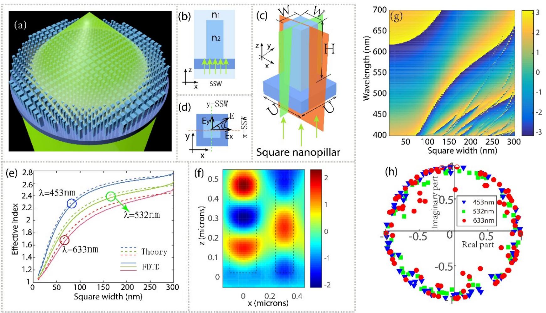 (a) the schematic of a metalens focuses incident light into