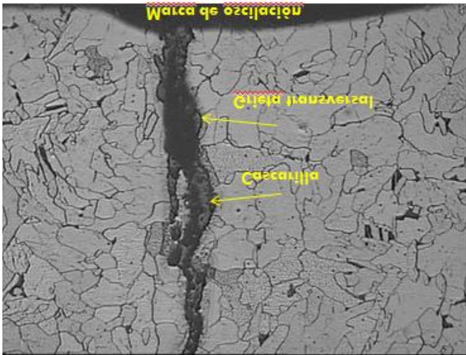 Figure 6 - Billet defects: transverse cracking formation,