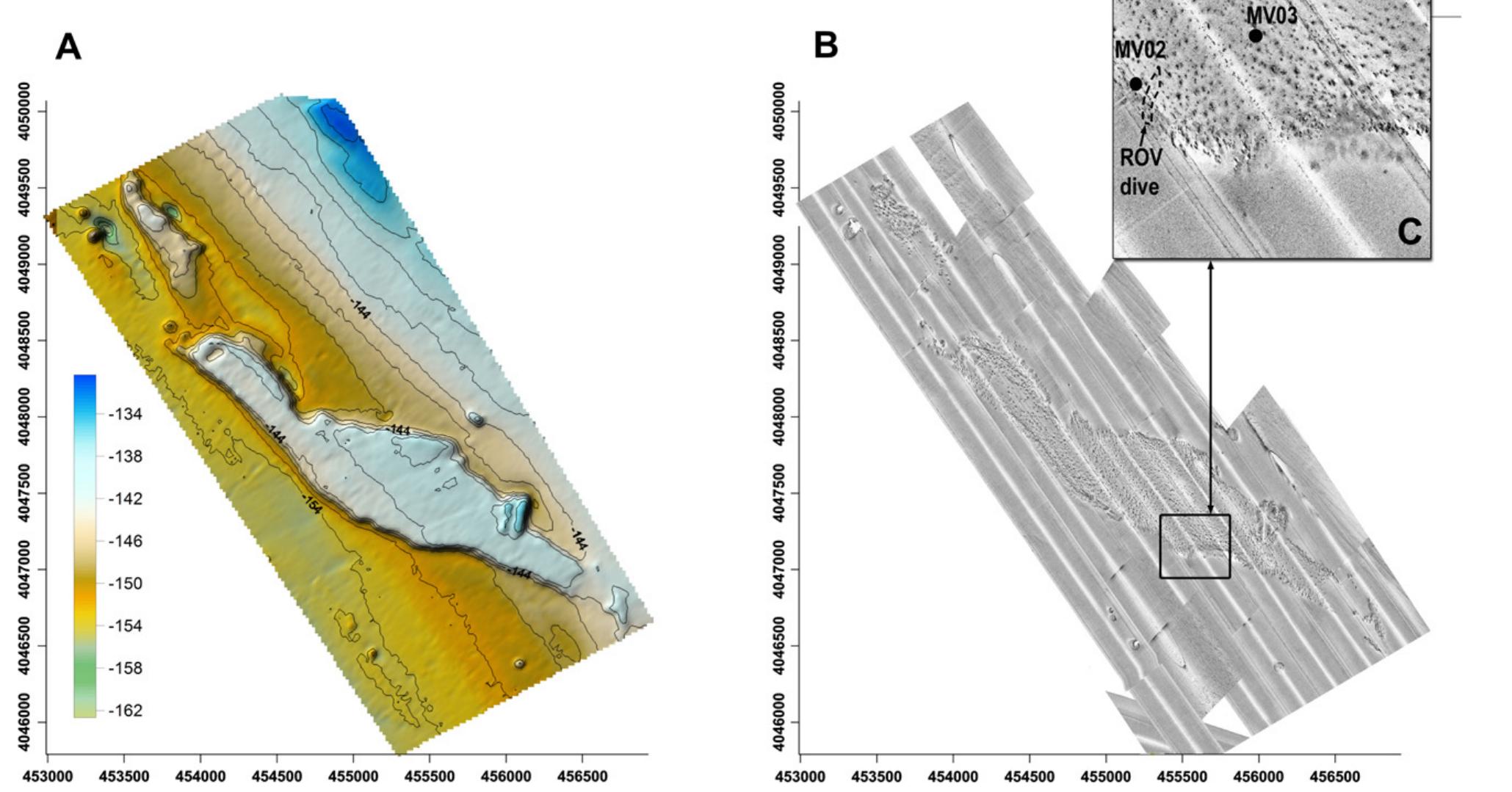 Maps of the biggest ridge. a: swath bathymetry map (20 m