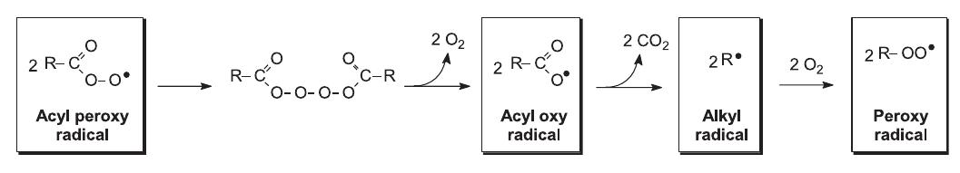 Detailed mechanism of the termination reaction 4 involving