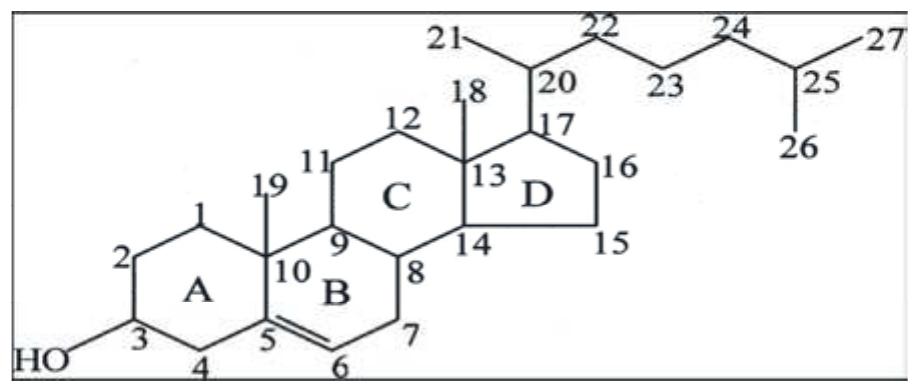The chemical structure of cholesterol with positional