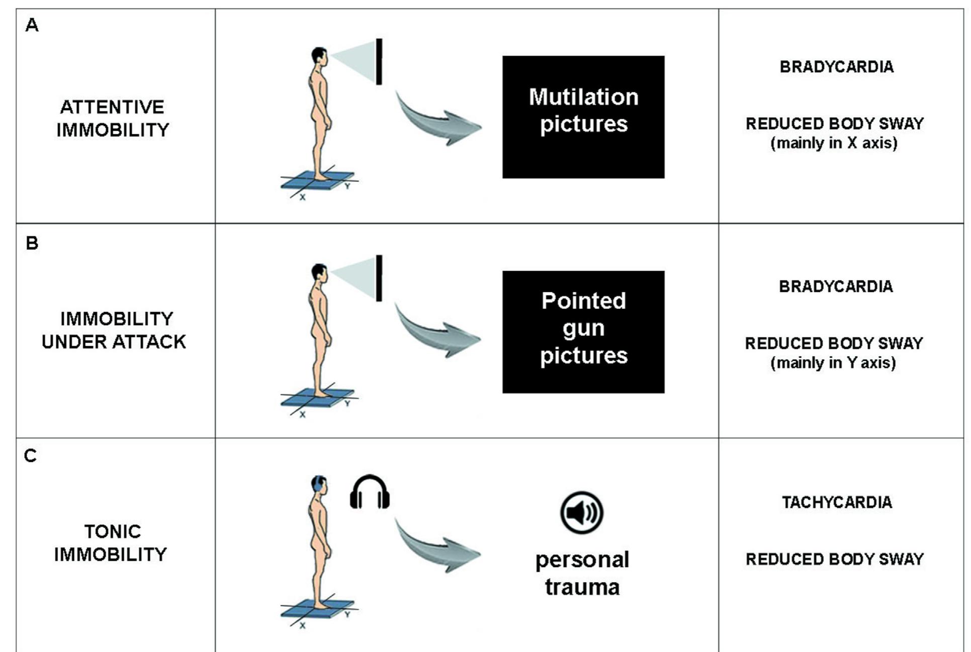 Immobility defensive reactions in humans- schematic
