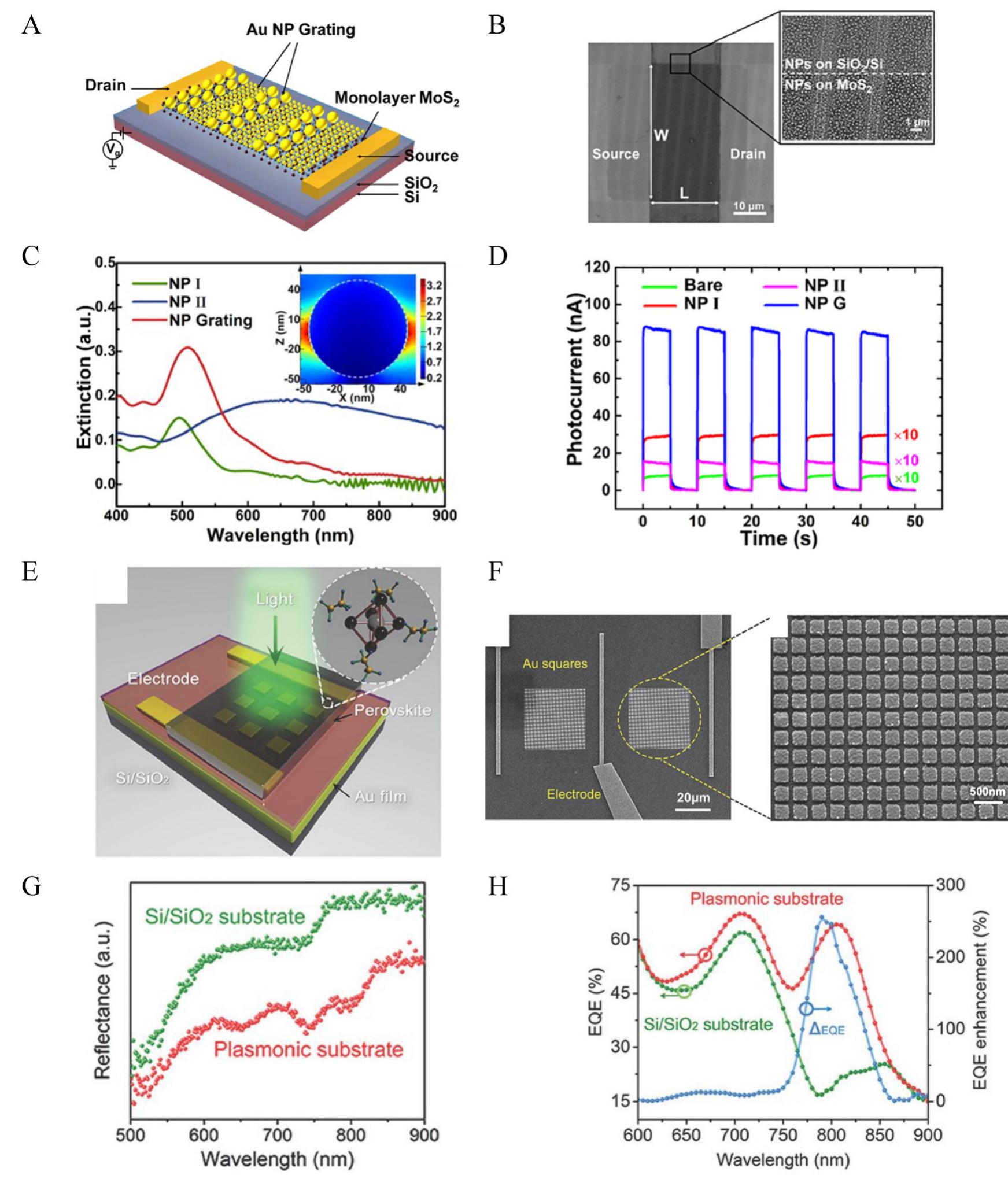 (a) schematic representation and (b) sem images of au