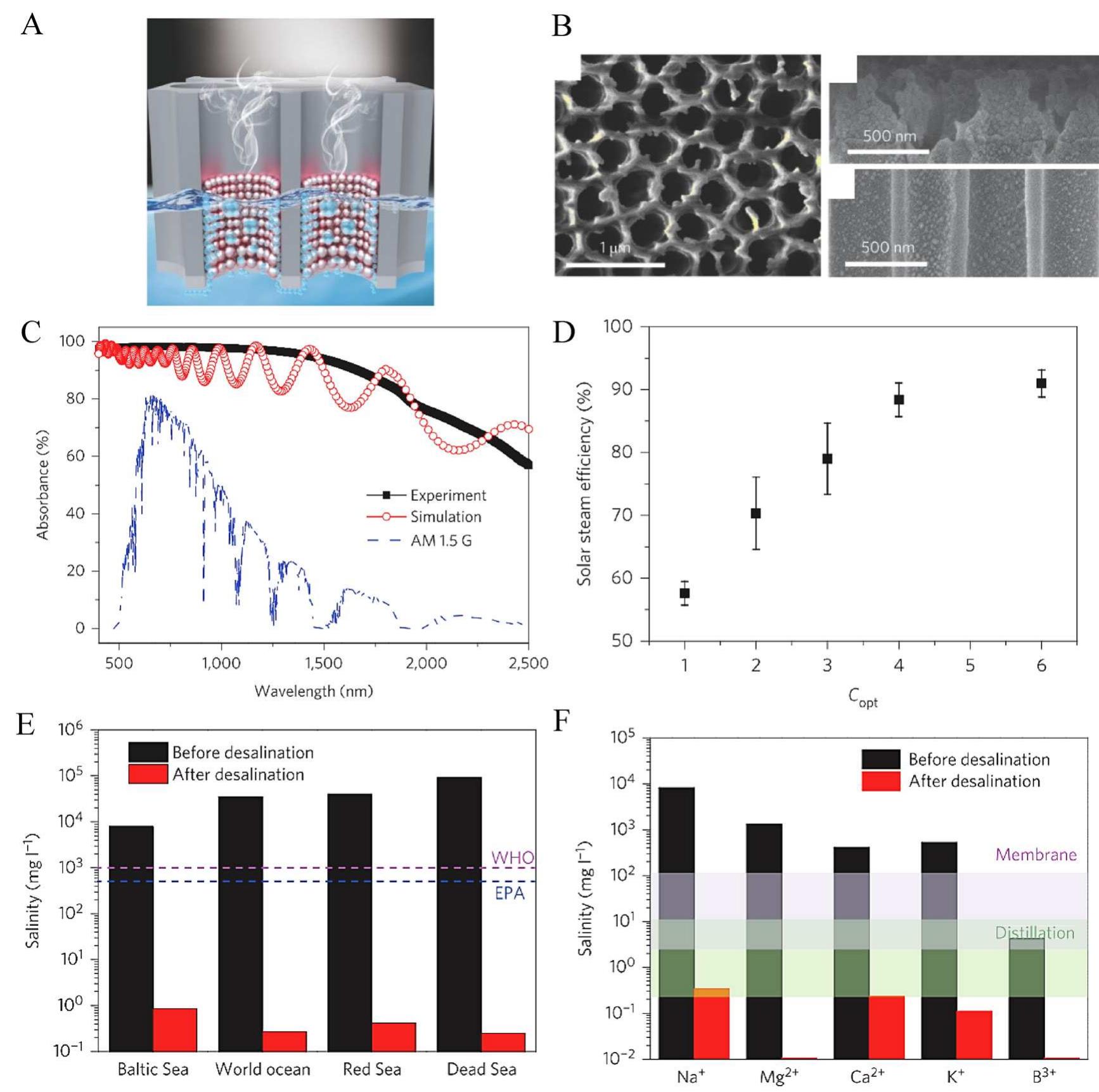 (a) schematic representation and (b) top-view and
