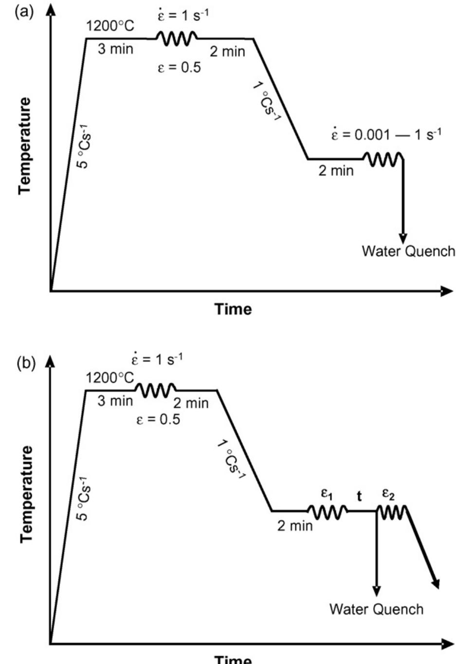 Schematic diagrams of hot deformation tests for (a) drx