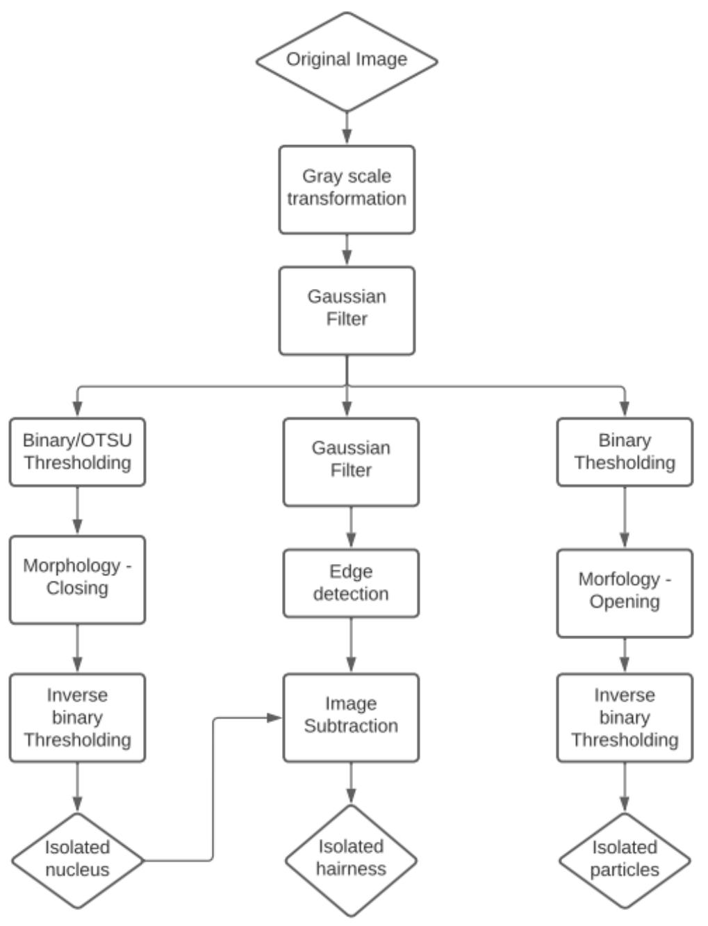 Algorithm analysis methodology flowchart.