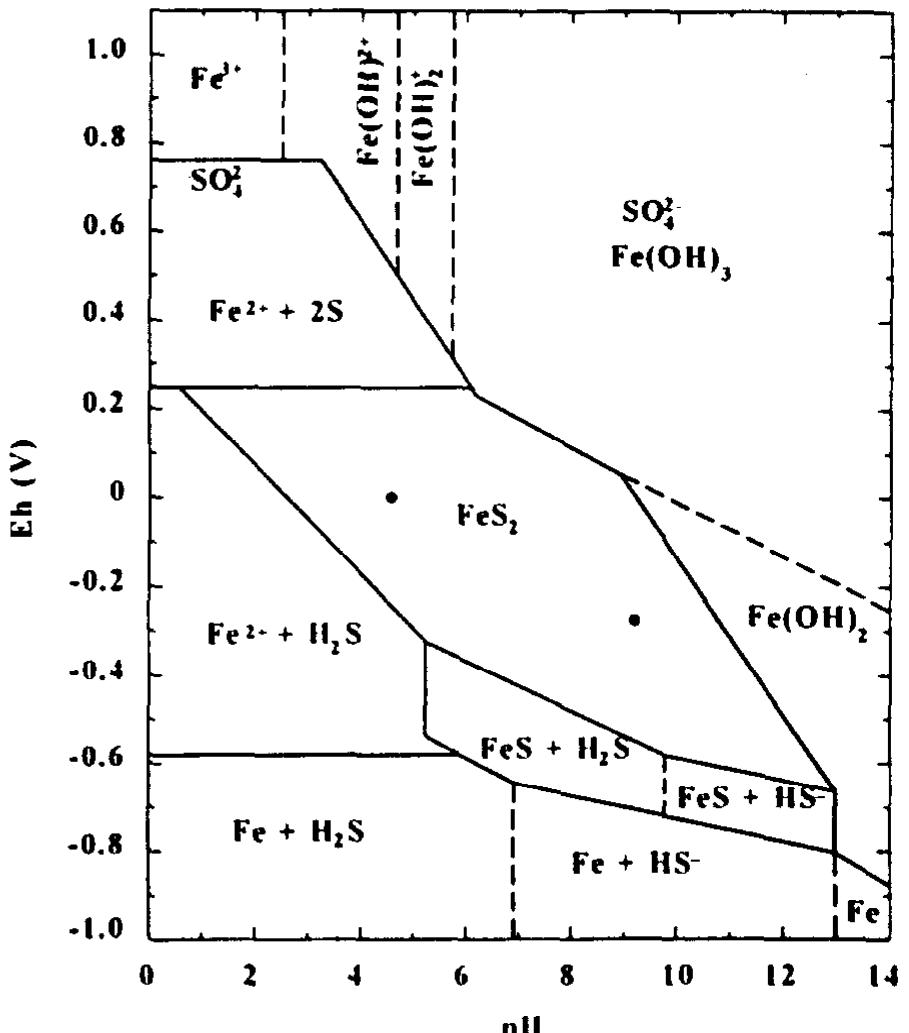 Figure 3 - from The incipient oxidation of pyrite