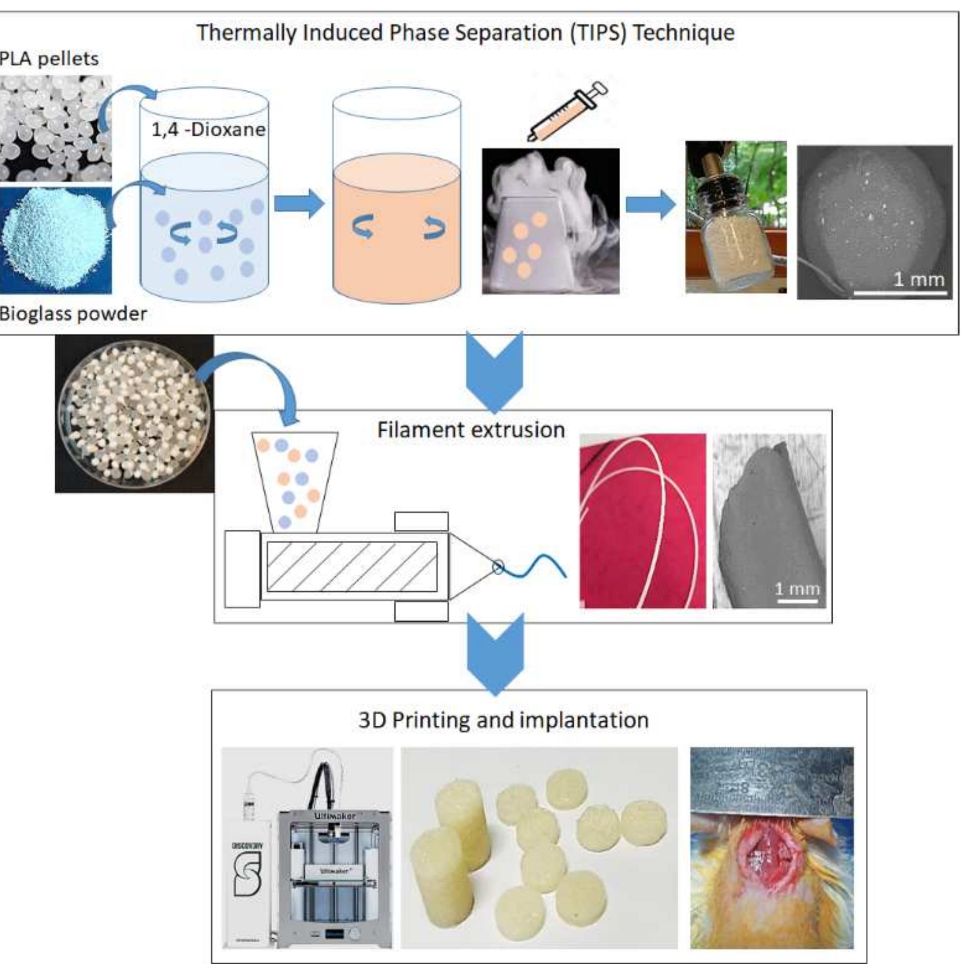 Pla-bioglass scaffold processing and performance evaluation.