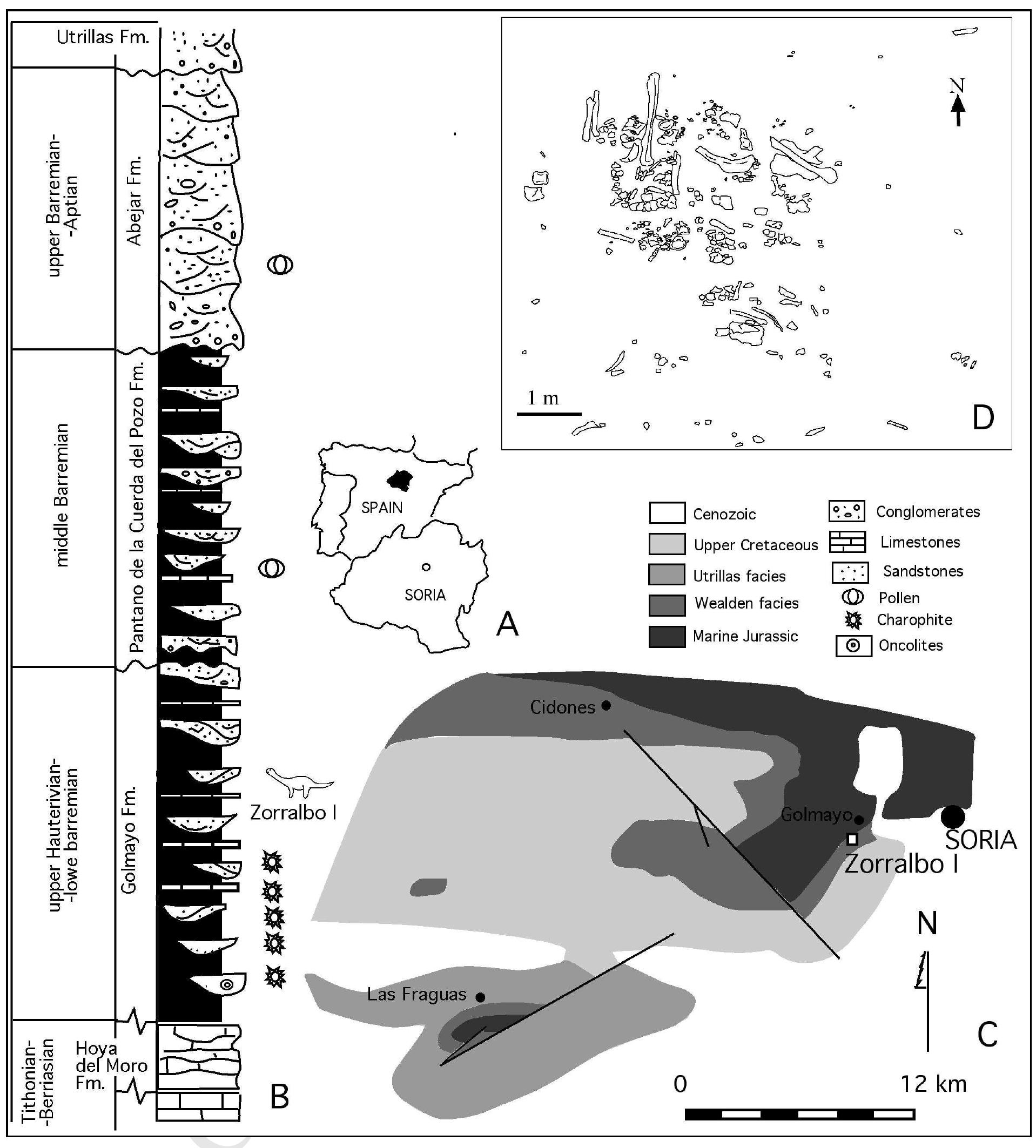 Figure 1 - A new Brachiosauridae Sauropod dinosaur from the