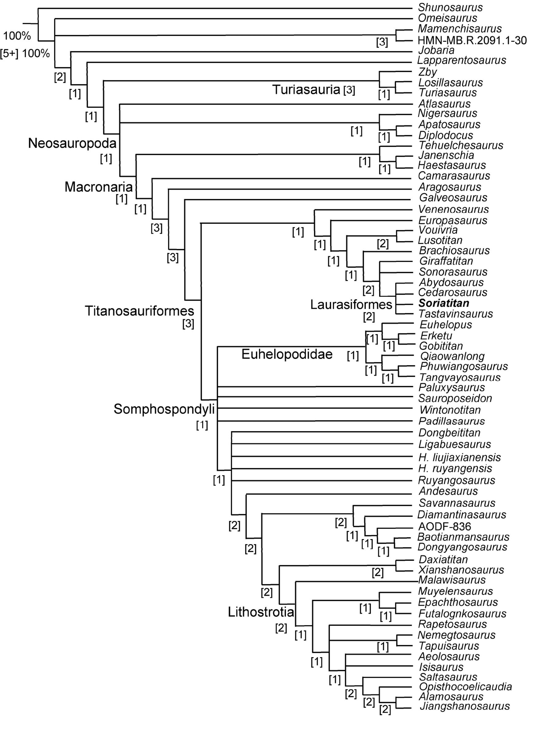 Figure 13 - A new Brachiosauridae Sauropod dinosaur from the