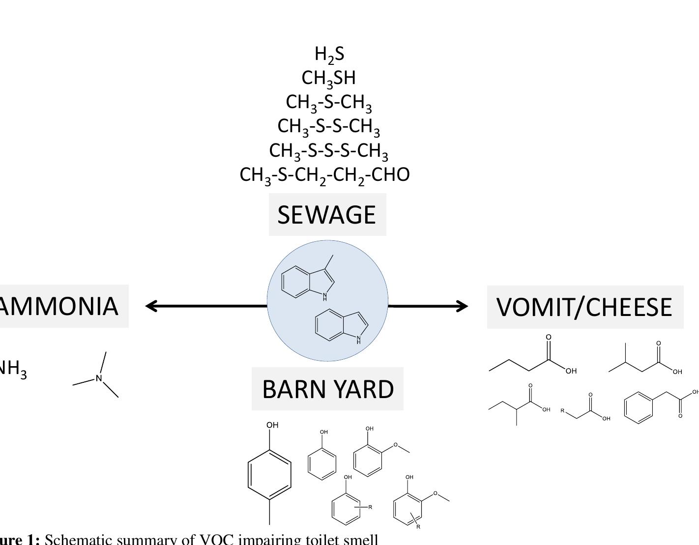 Figure 1 - The Toilet Malodor Challenge