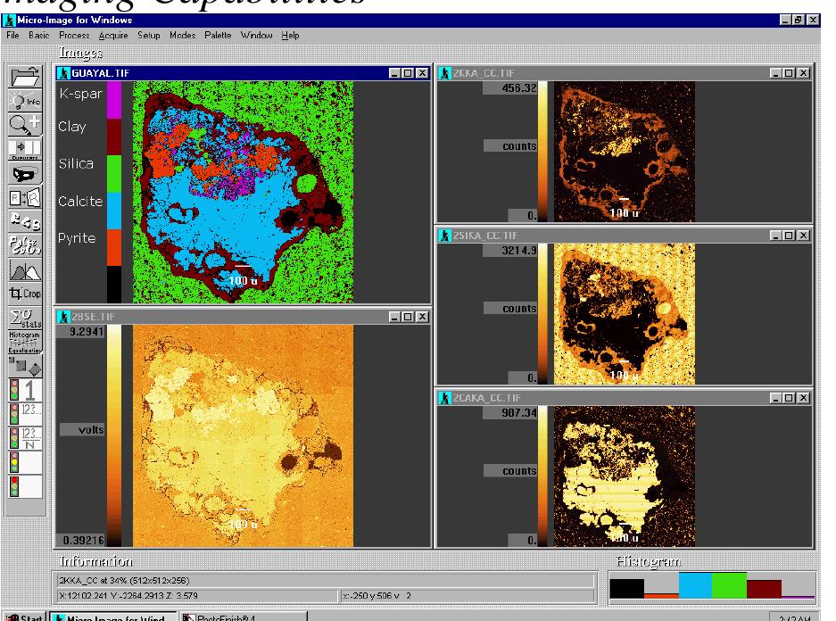 Two basic x-ray mapping modes are available, digital