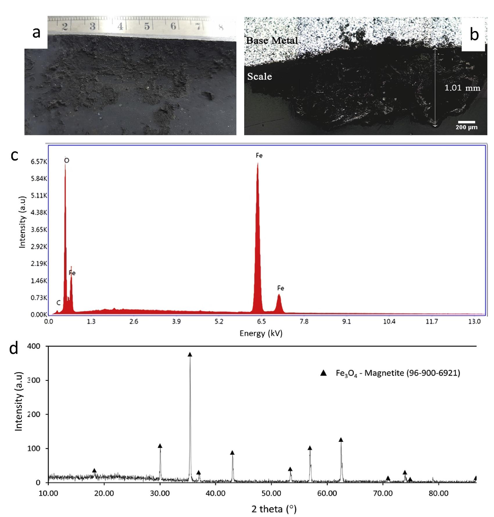 Microstructures of the crack tip (sample i; figure 9c)