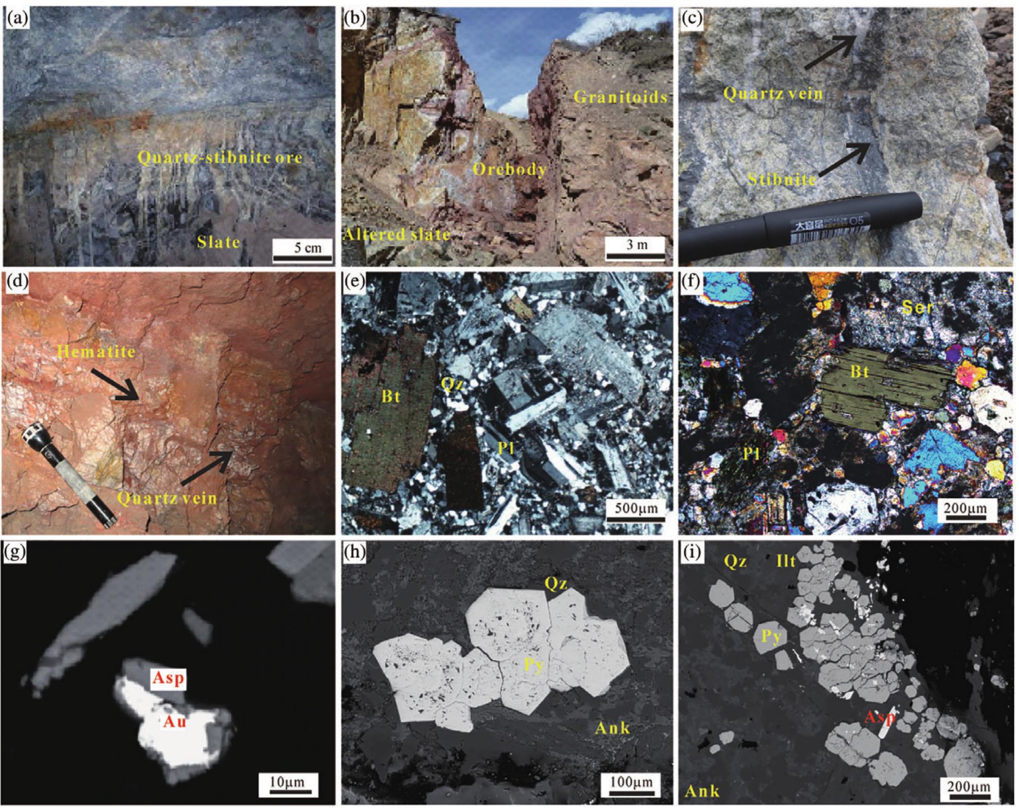 Representative field and microscopic photographs of the