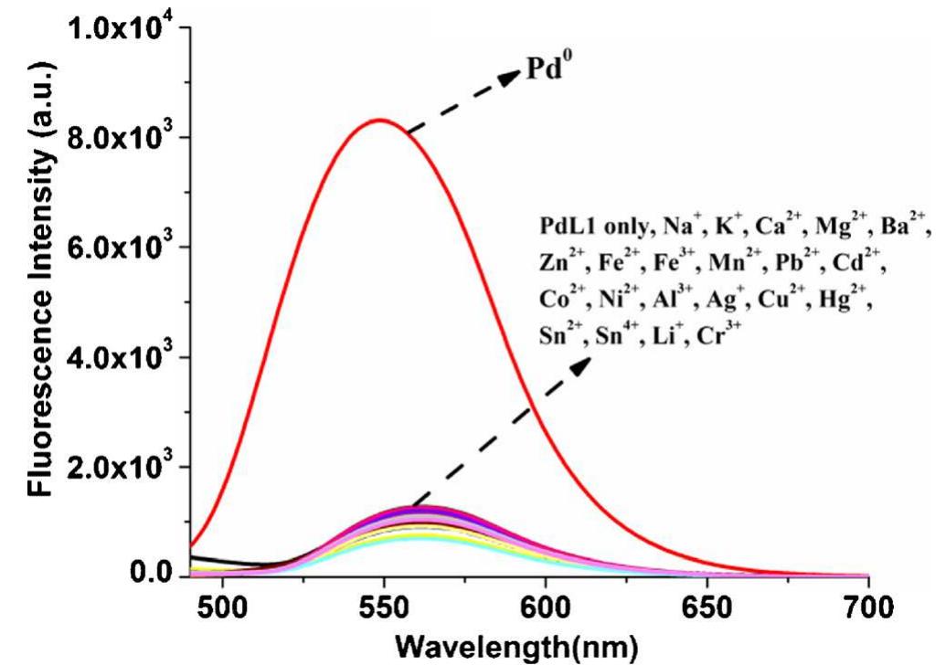 Fluorescence spectra of pdl1 (10 um) in the presence of 10