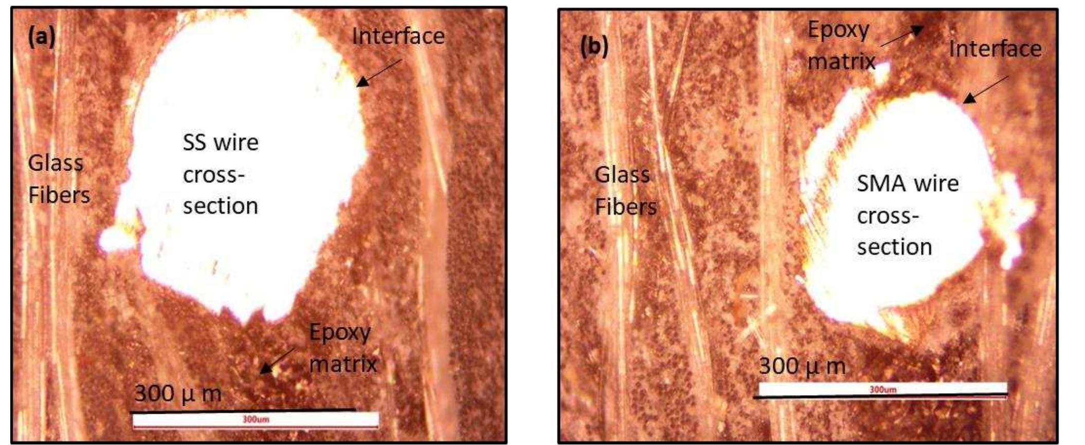 Optical micrographs of cross-section of hybrid composites