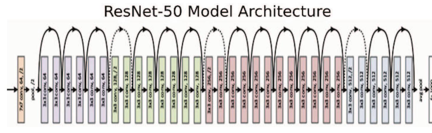 Resnet50 architecture convolution neural networks show Resnet50 architecture convolution neural networks show
