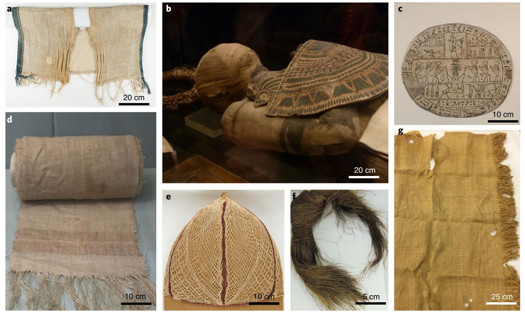 ] examples of the uses of flax in ancient egypt. a, child’s