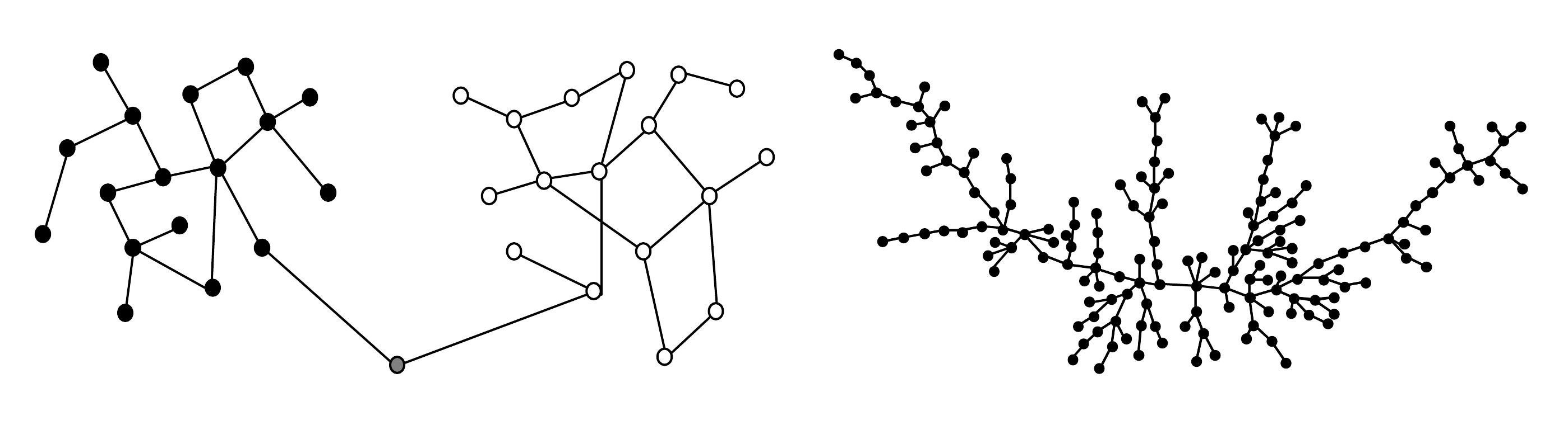 Figure 1 - Chains of Affection: The Structure of Adolescent