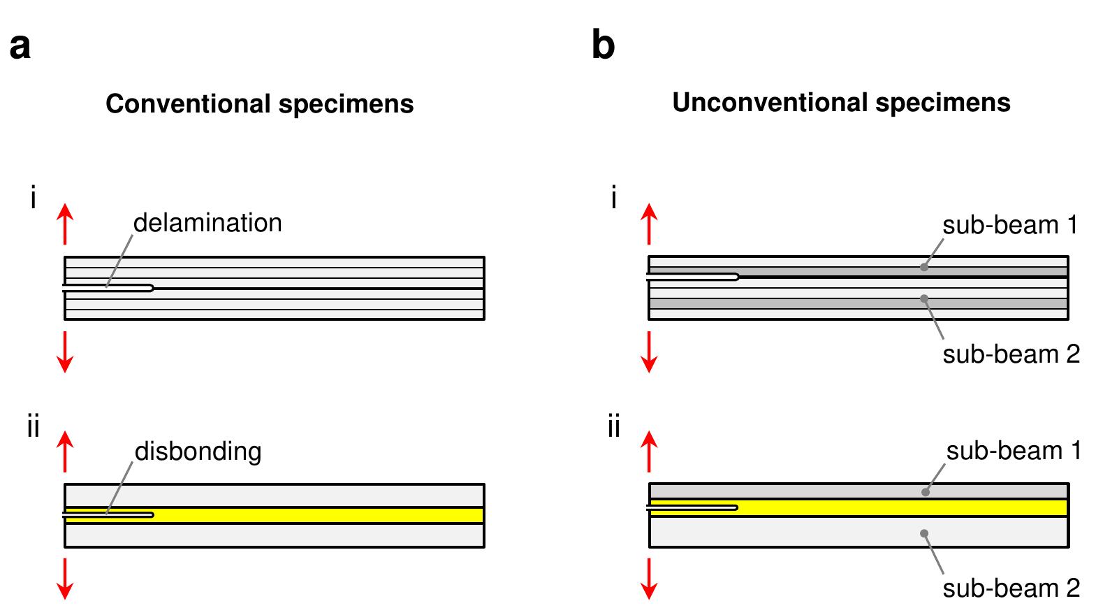 (a) two characteristic examples of conventional specimens