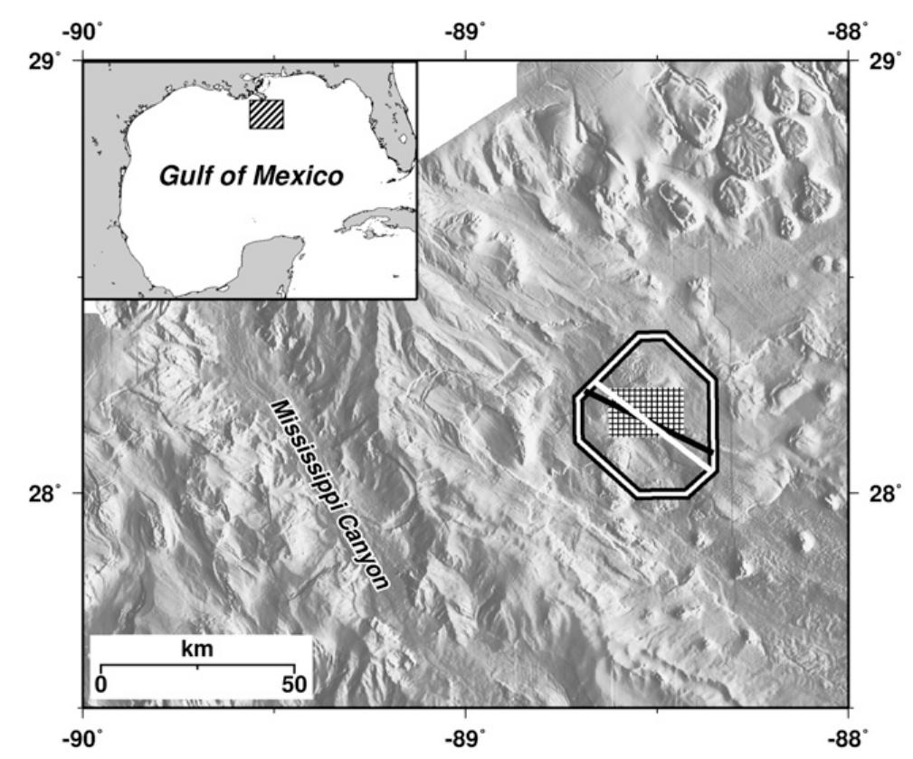 Location map of the study area. the polygon shows the area