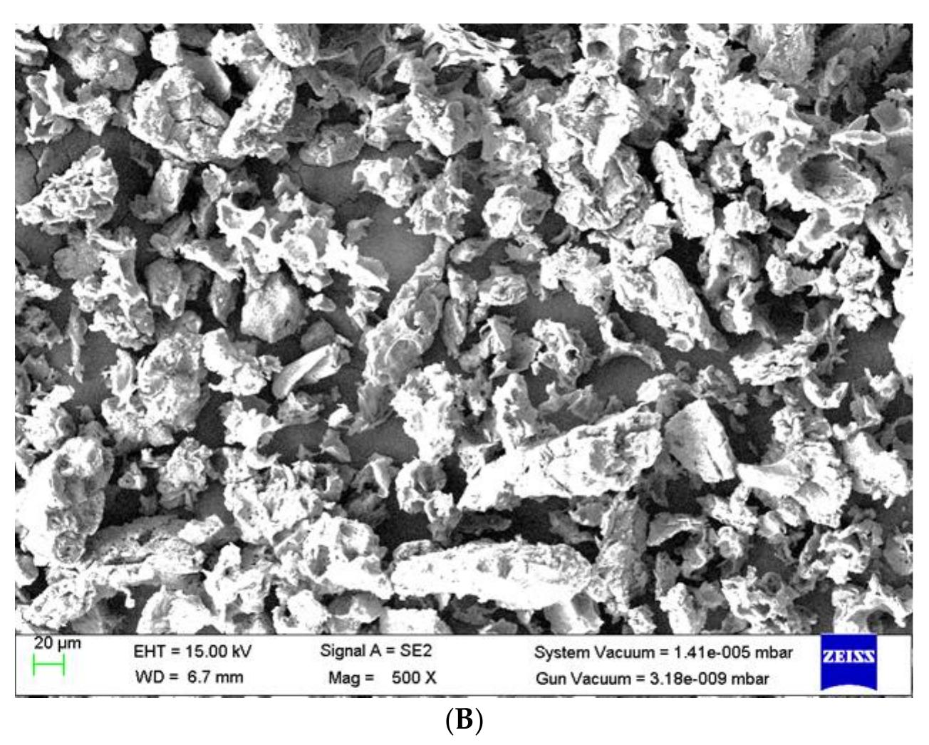 Sem graph of juglans regia shell biomass: (a) before and (b)
