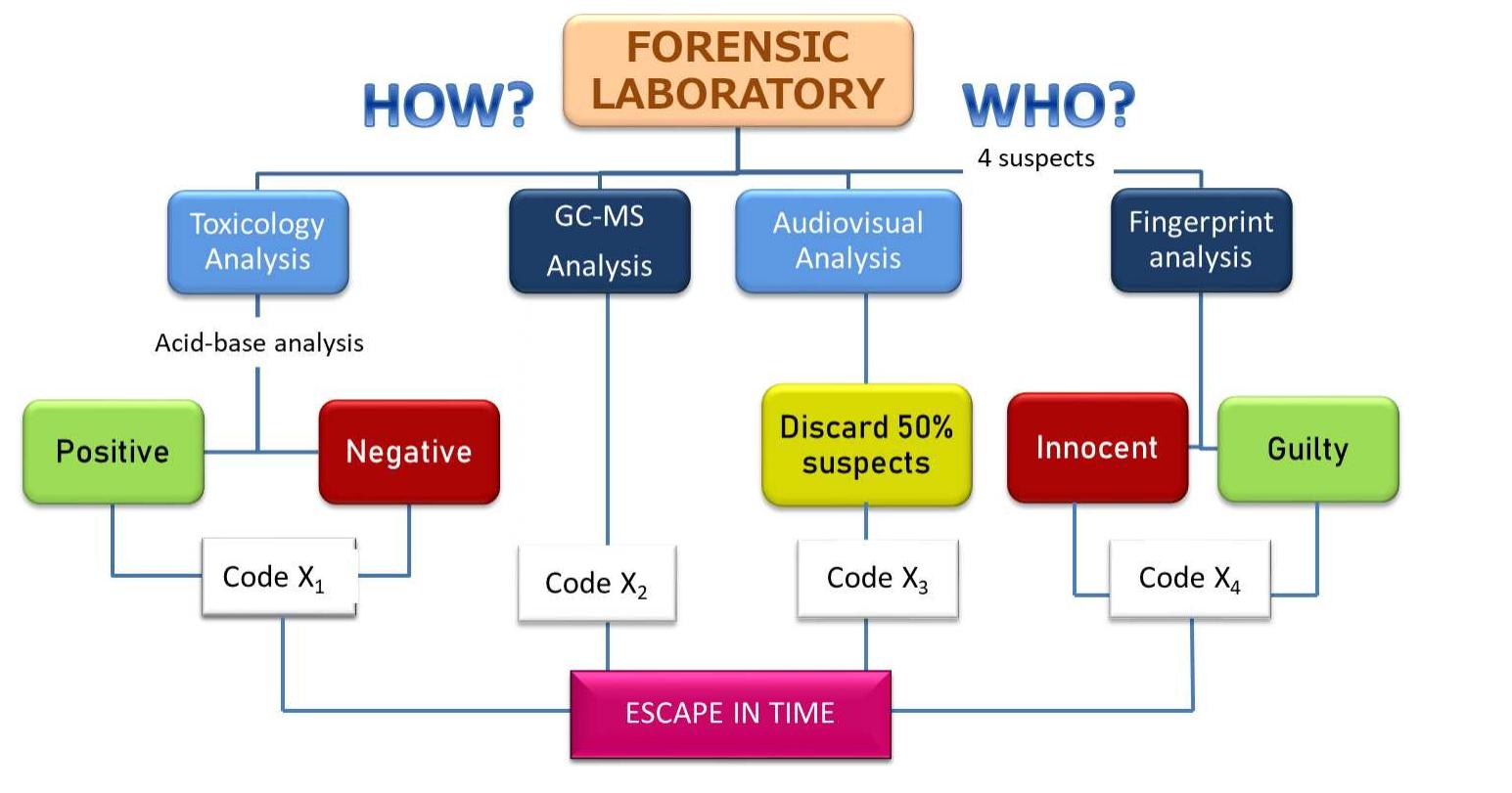Workflow diagram in the forensic laboratory.