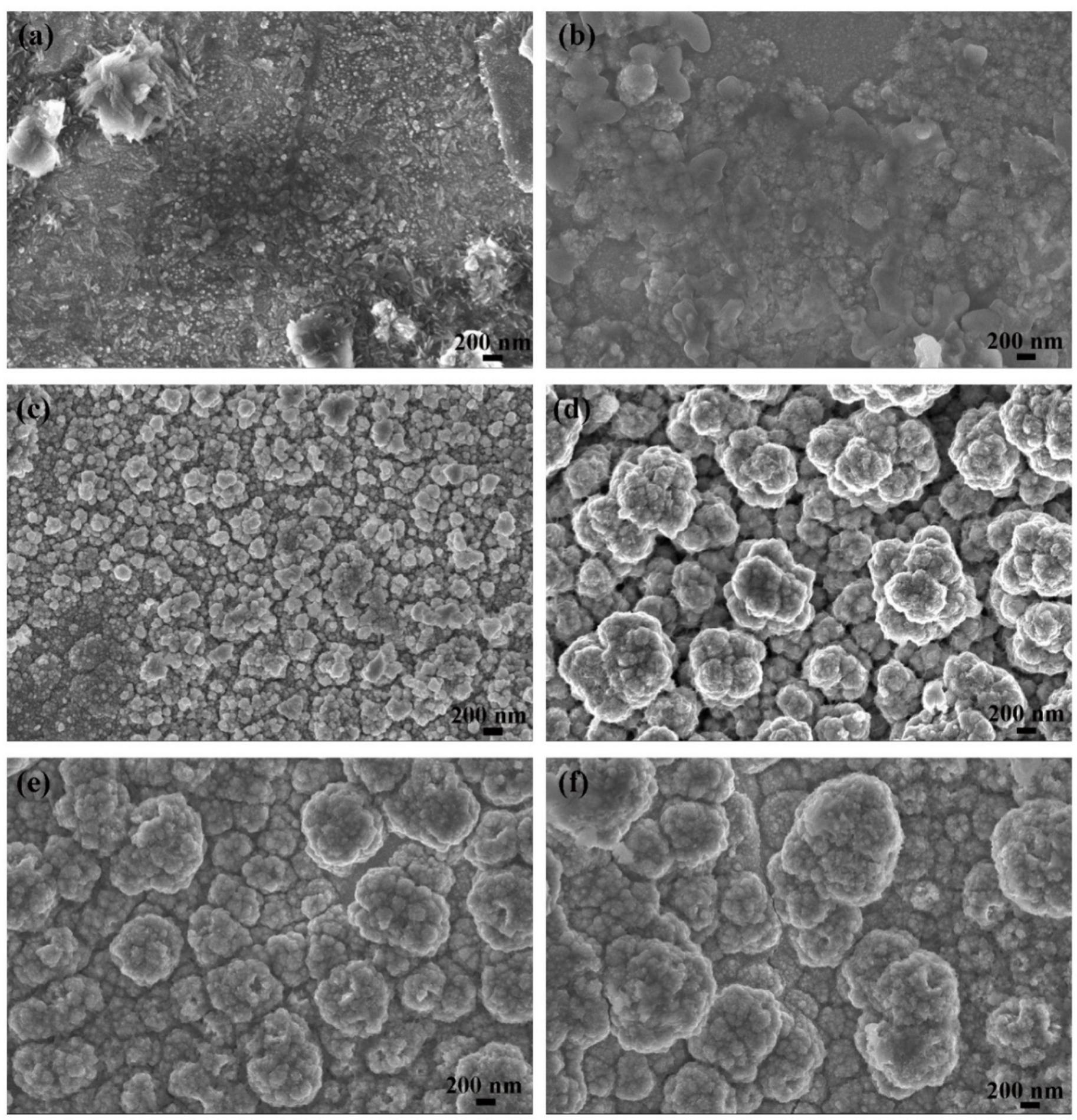 Surface morphologies of nico-coated zta ceramics with
