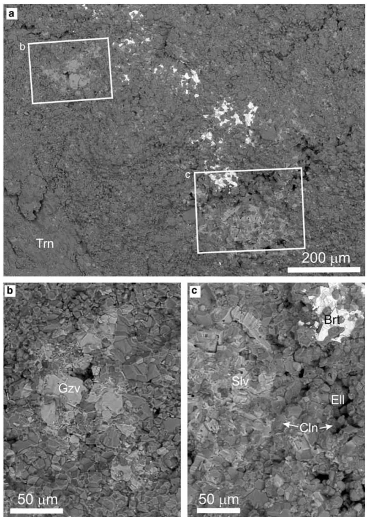 Fic. 3. scanning electron microscopy bse images using