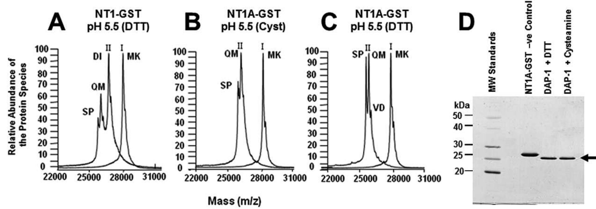 Summary overlays of maldi-tof spectra of either the
