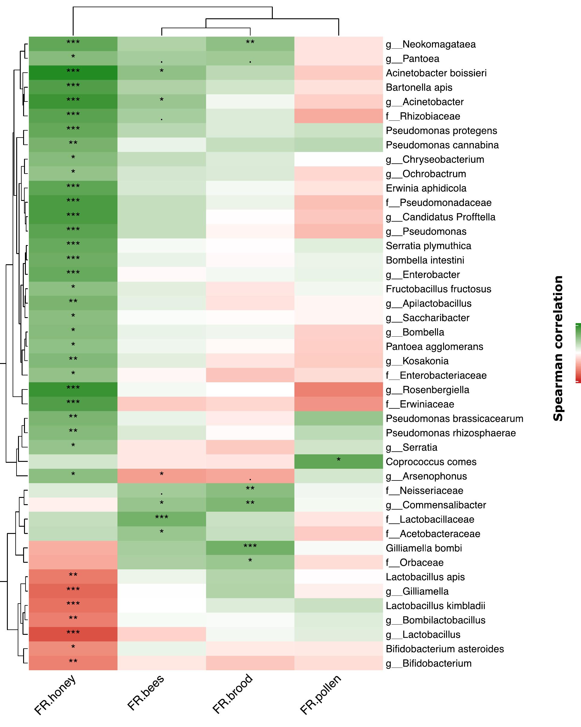 Heat-map of spearman correlations of the abundance of
