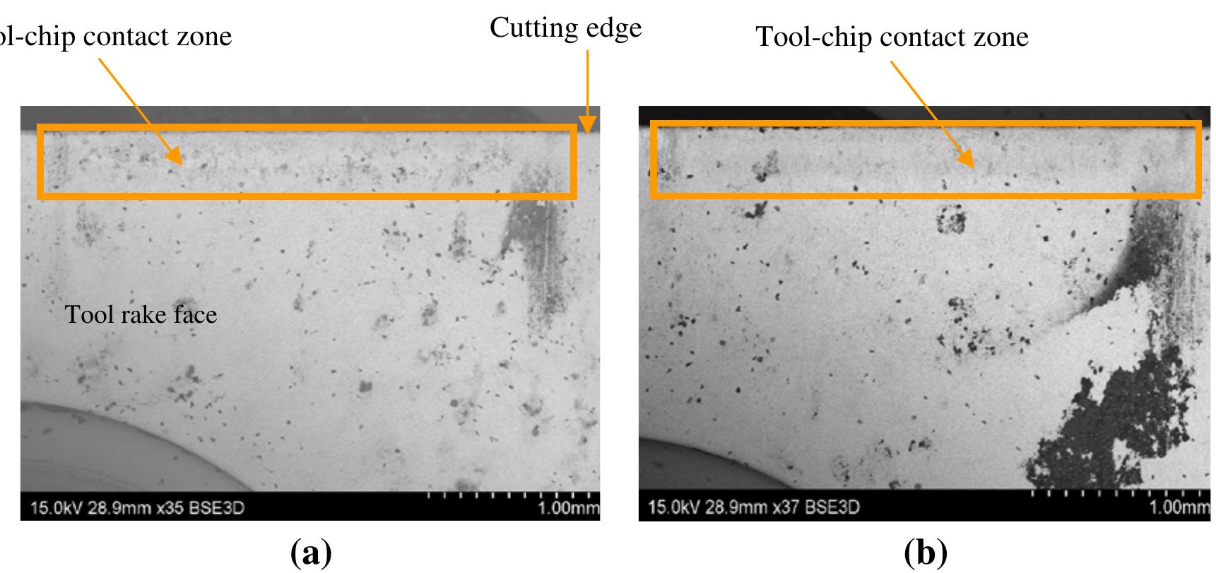 Scanning electron microscope images of the tool—chip length