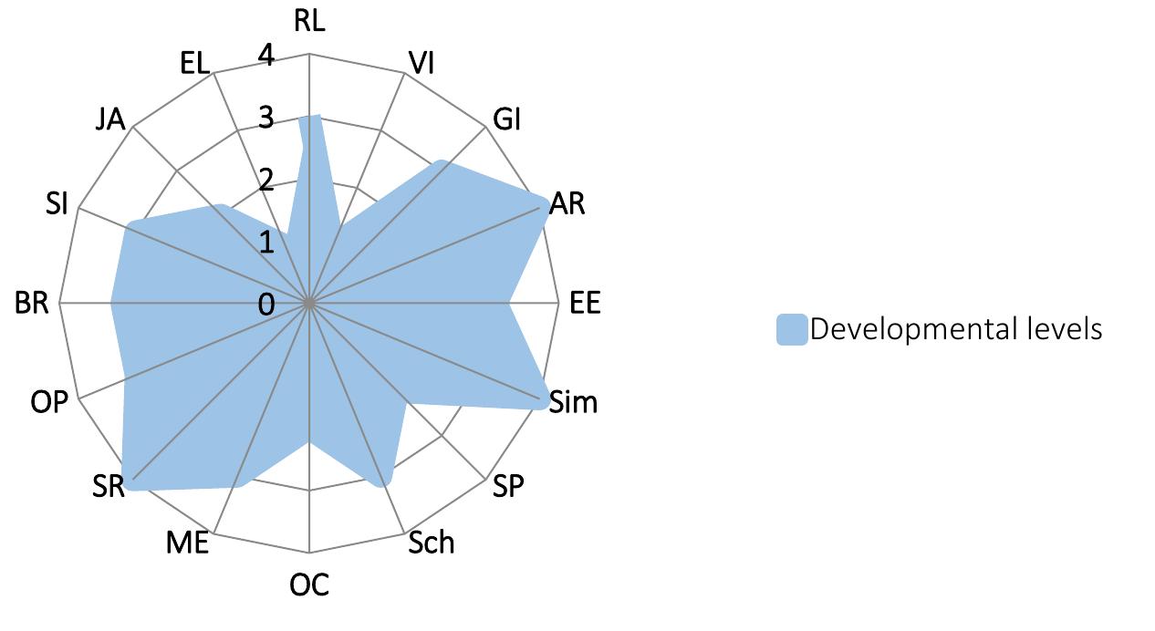 Cognitive and socio-emotional developmental profile of a boy