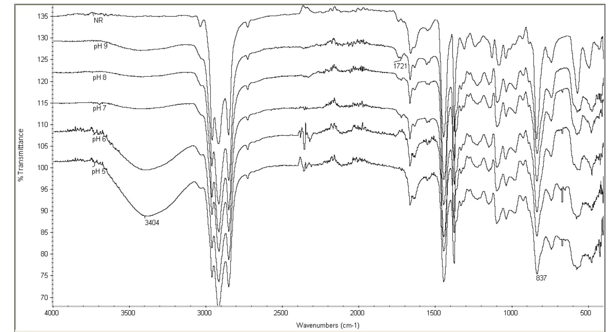 Ftir spectra of liquid natural rubber (lnr) samples prepared