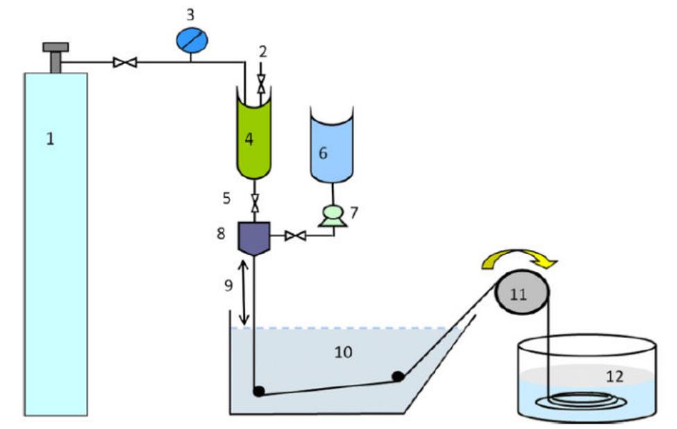 Schematic diagram of hollow fiber spinning system: (1)