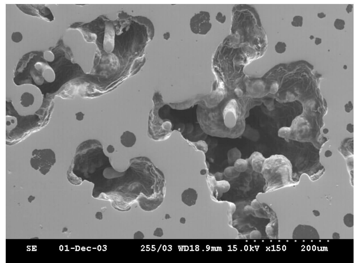 Typical sub-surface shrinkage defect with dendrite arms