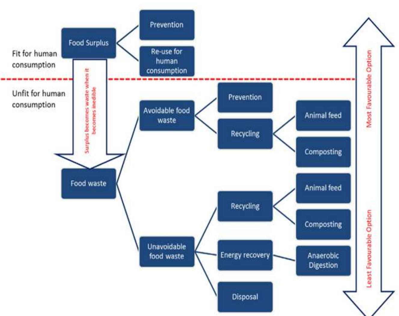 Framework for food surplus and waste (papargyropoulou et