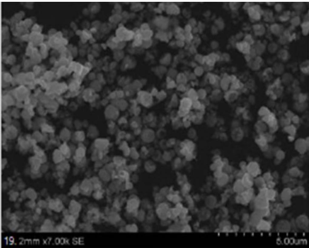 The sem image of zno nanoparticles the sem of zno