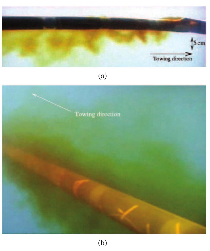 3: snapshots of a seismic streamer cable in the ocean.