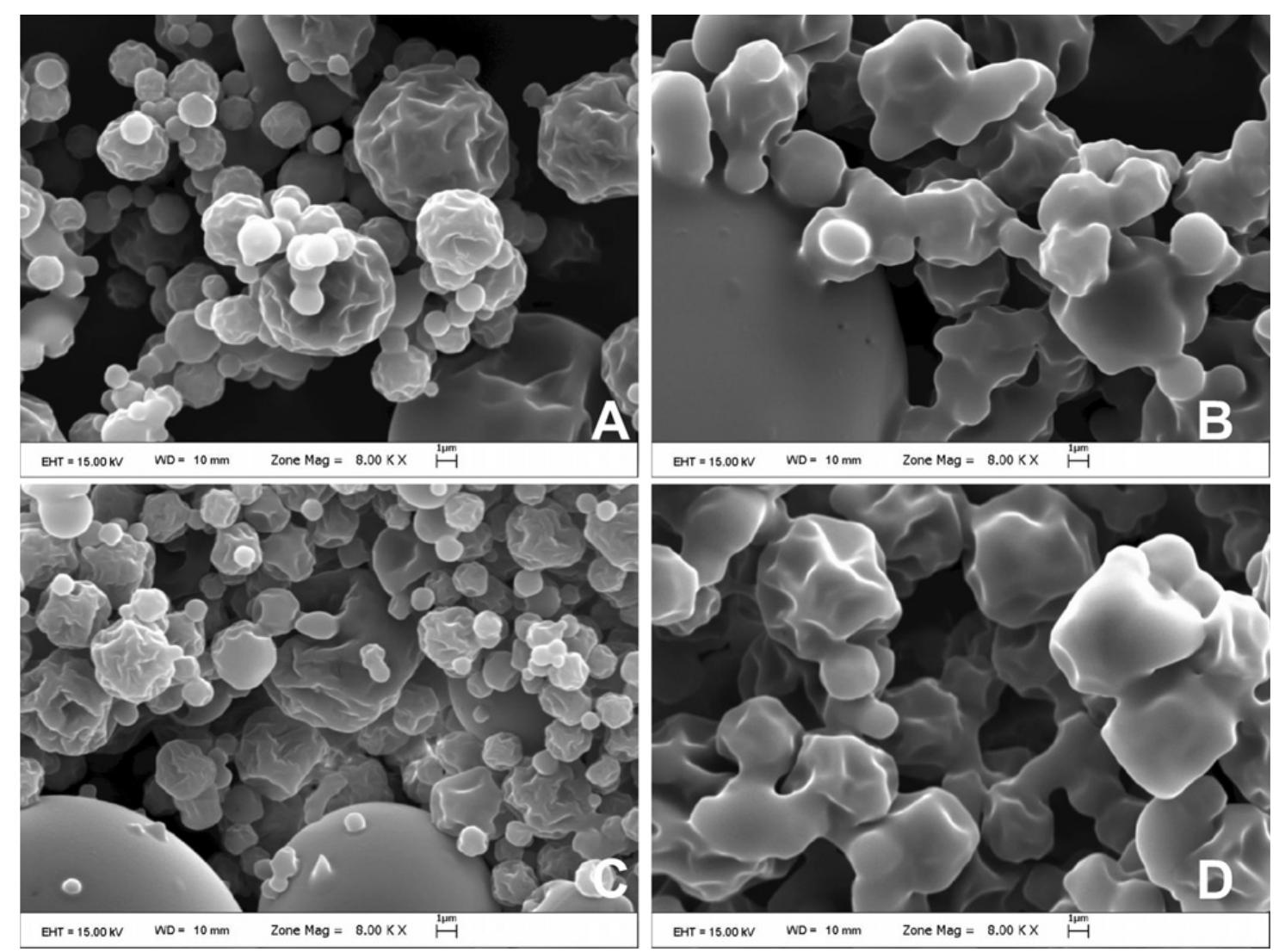 Scanning electron microscopy images (8000) of the iss,