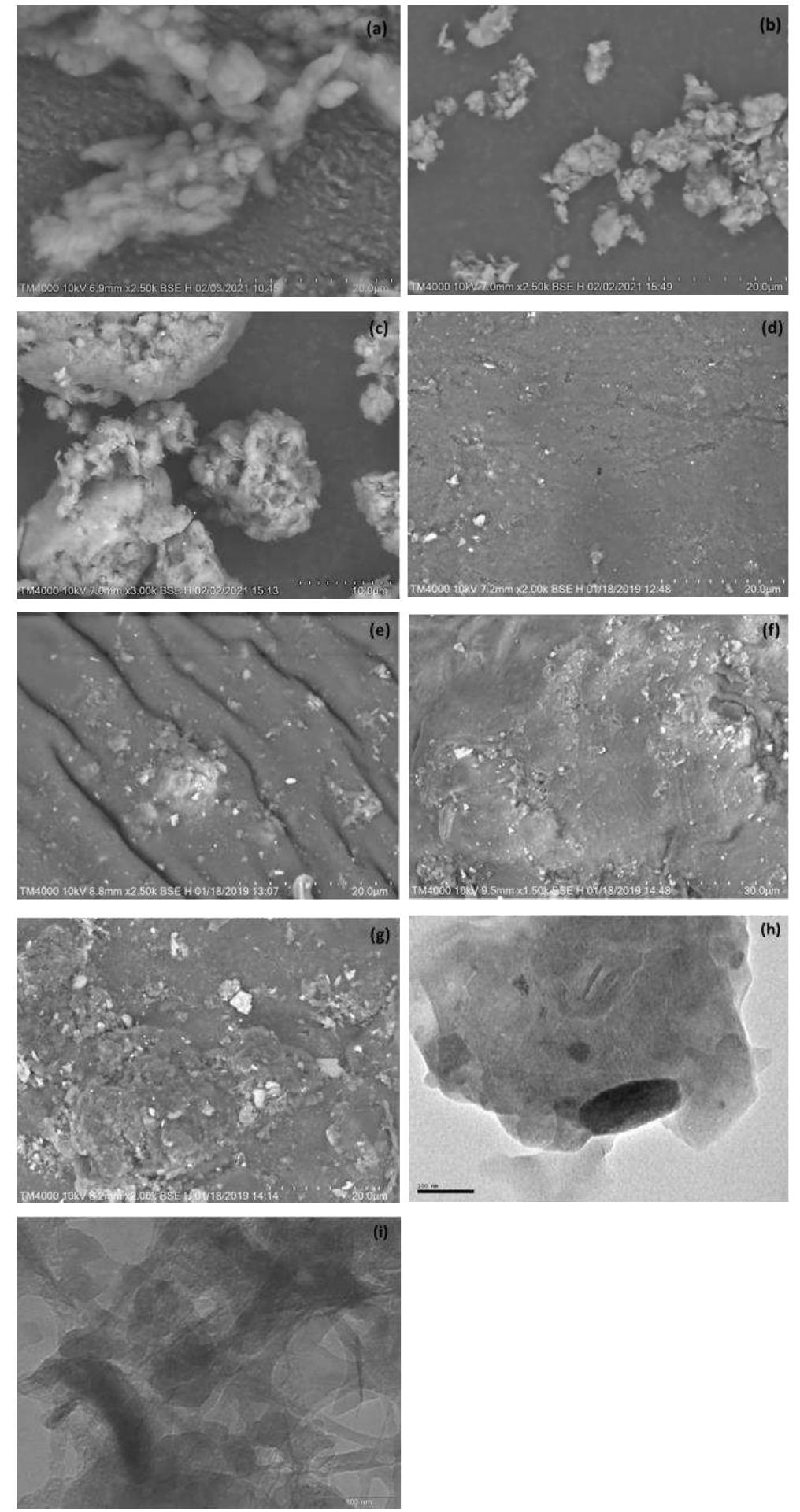 (a) sem micrograph of pure mwcnt. (b) sem micrograph of pure