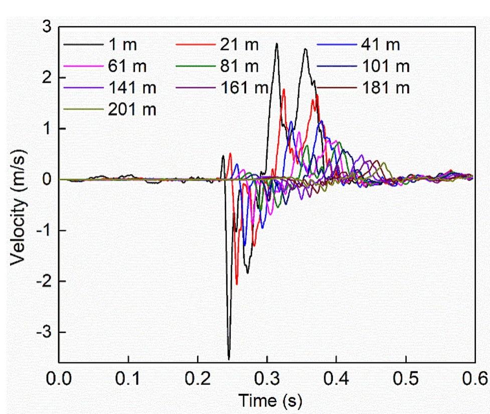 Figure 30 - Dynamic Modelling of Seismic Wave Propagation