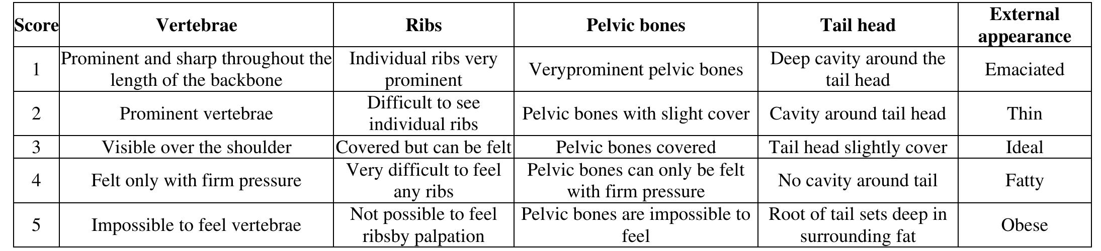 Overview of body condition scoring of swine 4! optimum body