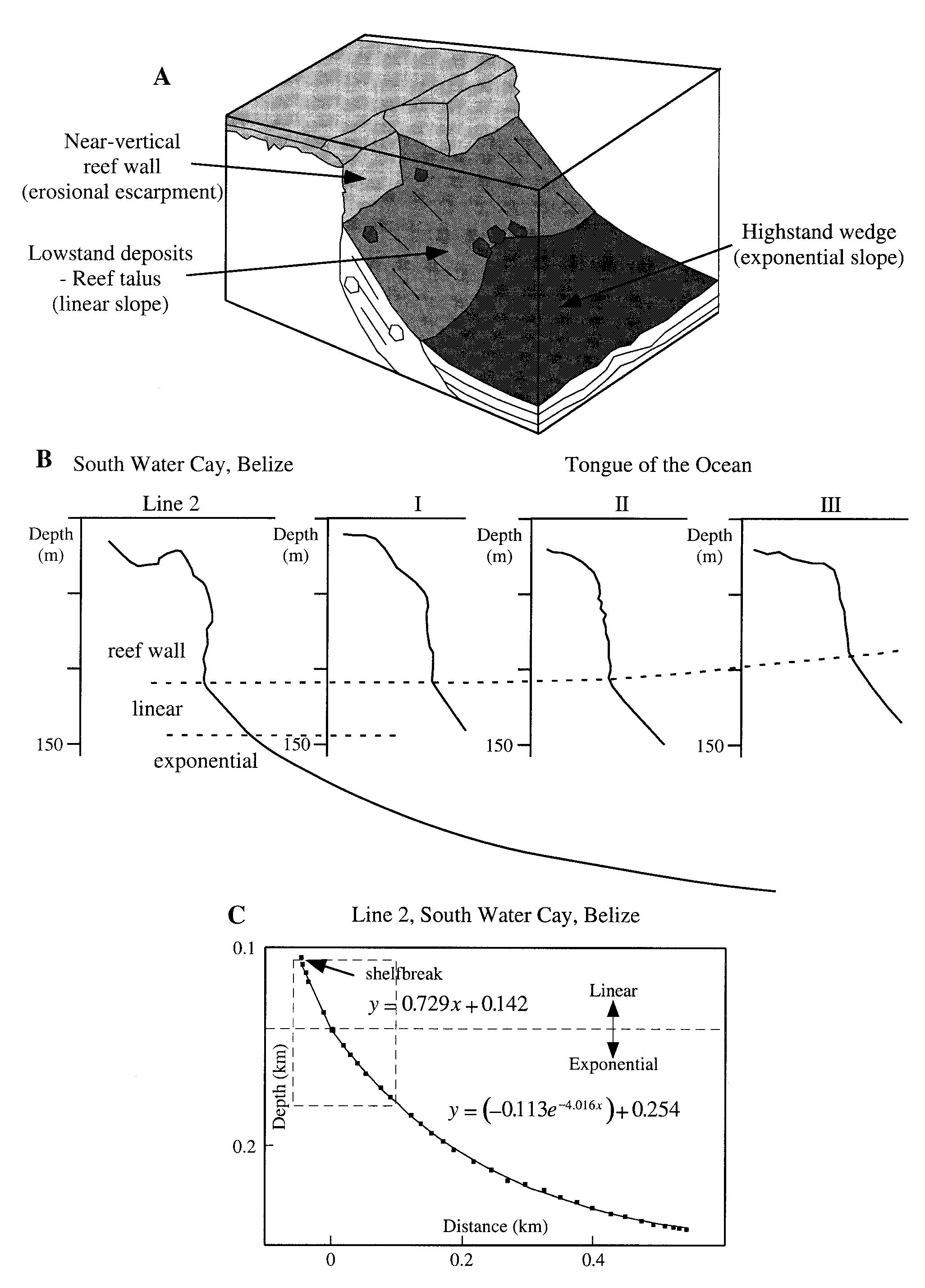 Figure 5 - Basic Types of Submarine Slope Curvature